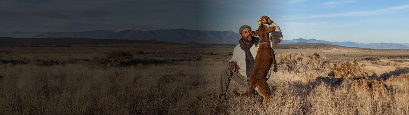 Online flea and tick treatment made easy - Vetster