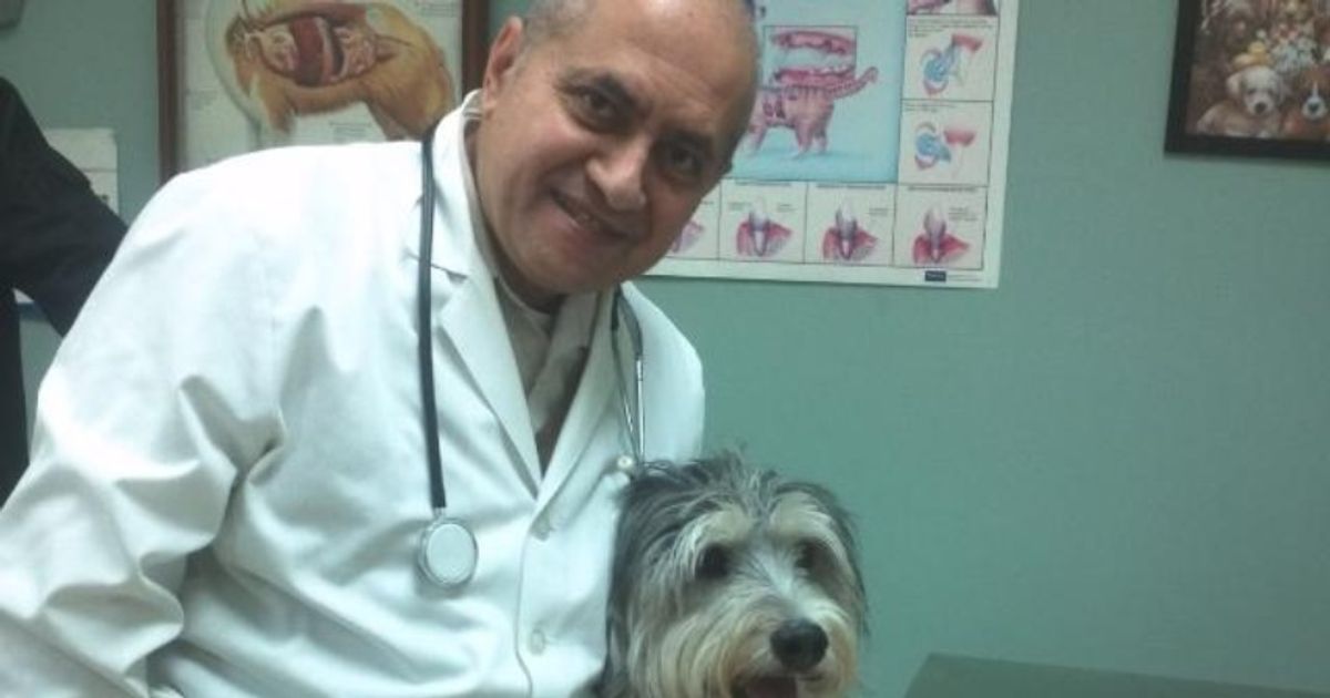 Dr. George Yanni - Vet in Thornhill, ON - Vetster