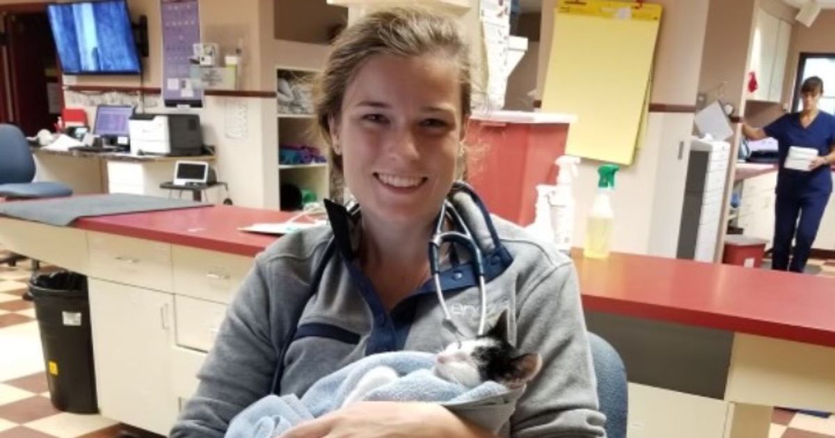 Dr. Jessica Bachmann - Vet in Ira, VT - Vetster