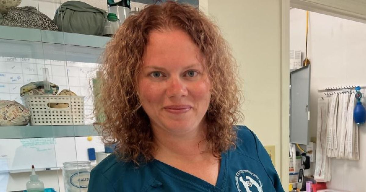 Amanda Dean - Tech in Virginia Beach, VA - Vetster