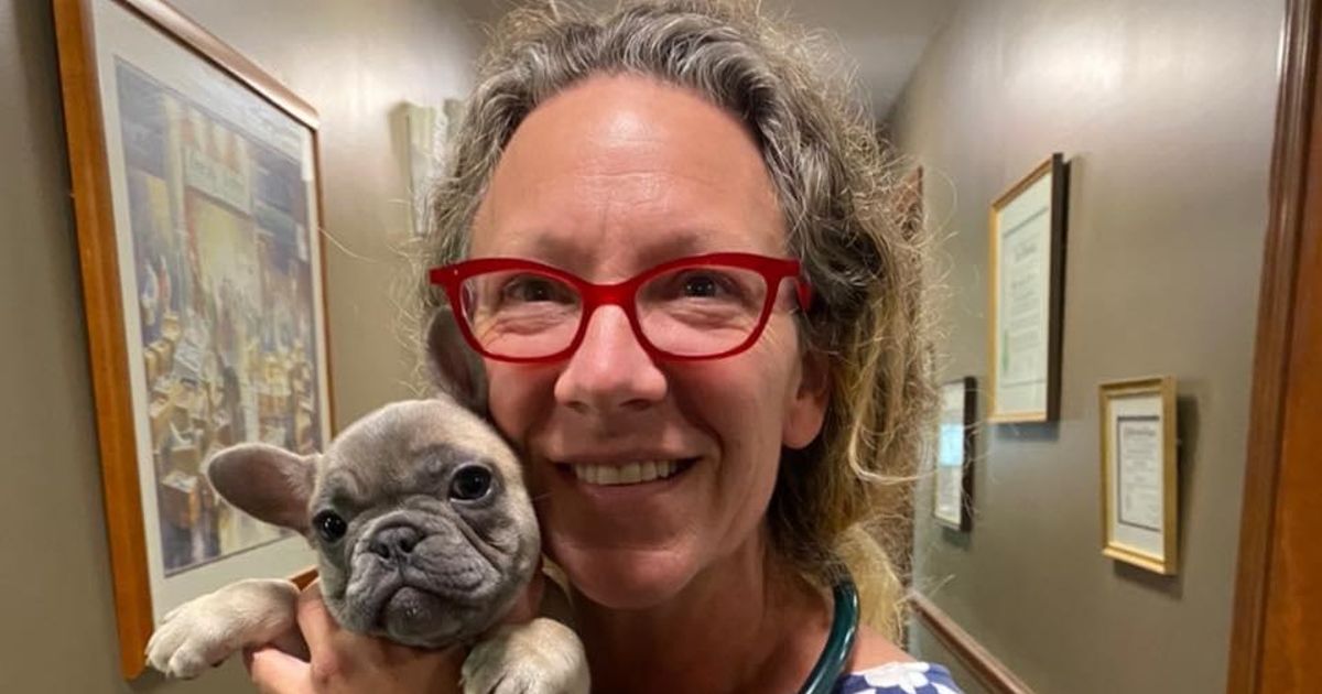 Dr. Alison Flanigan - Vet in Lake Placid, NY - Vetster