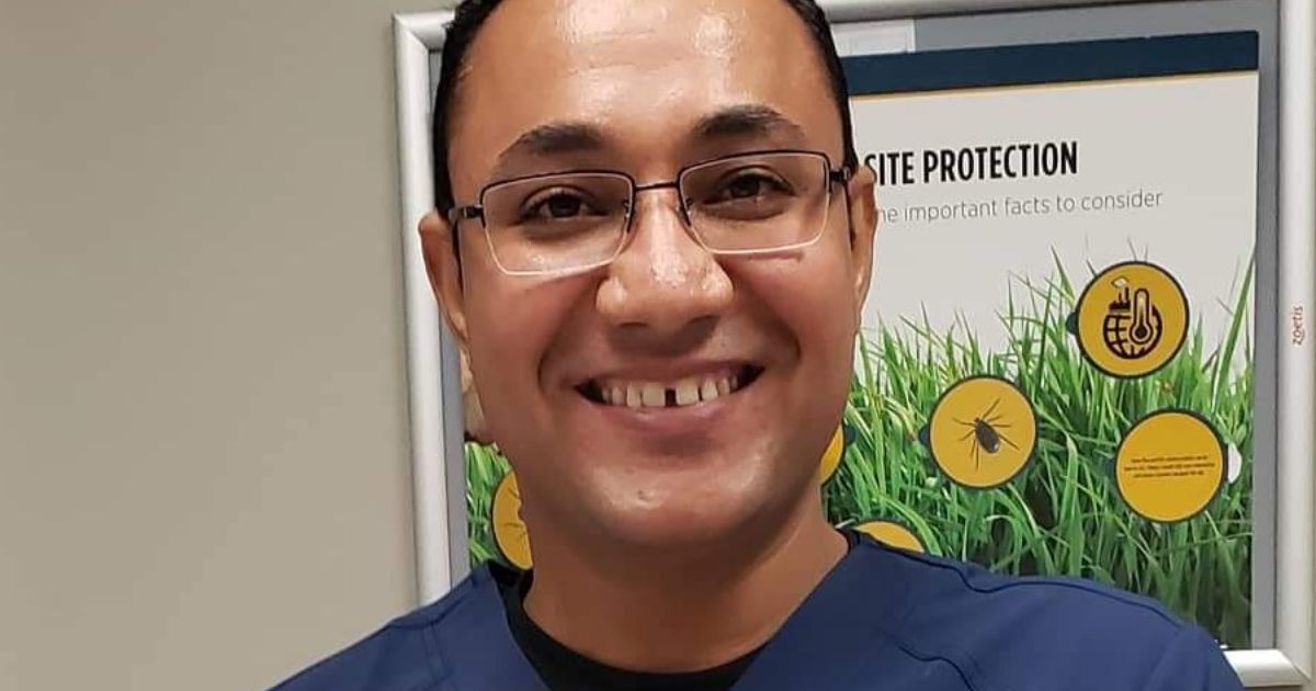Dr. Ali Gaber - Vet in Toronto, ON - Vetster