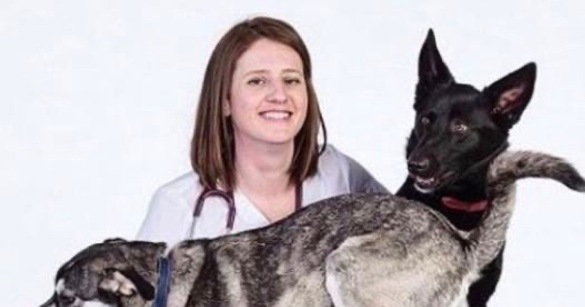 Dr. Erin Mayo-Goldberg - Vet in Rigaud, QC - Vetster