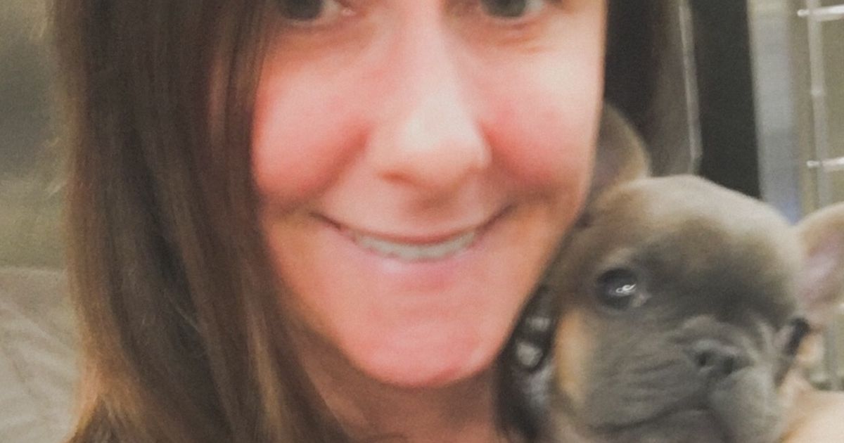 Dr. Rhiannon Davies - Vet in Seattle, WA - Vetster