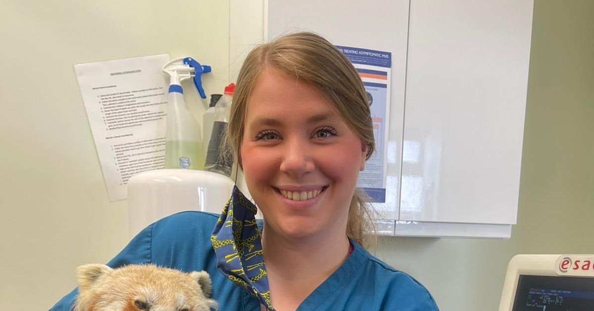 Dr. Chloe Pierce - Vet in Norwich, ENG - Vetster