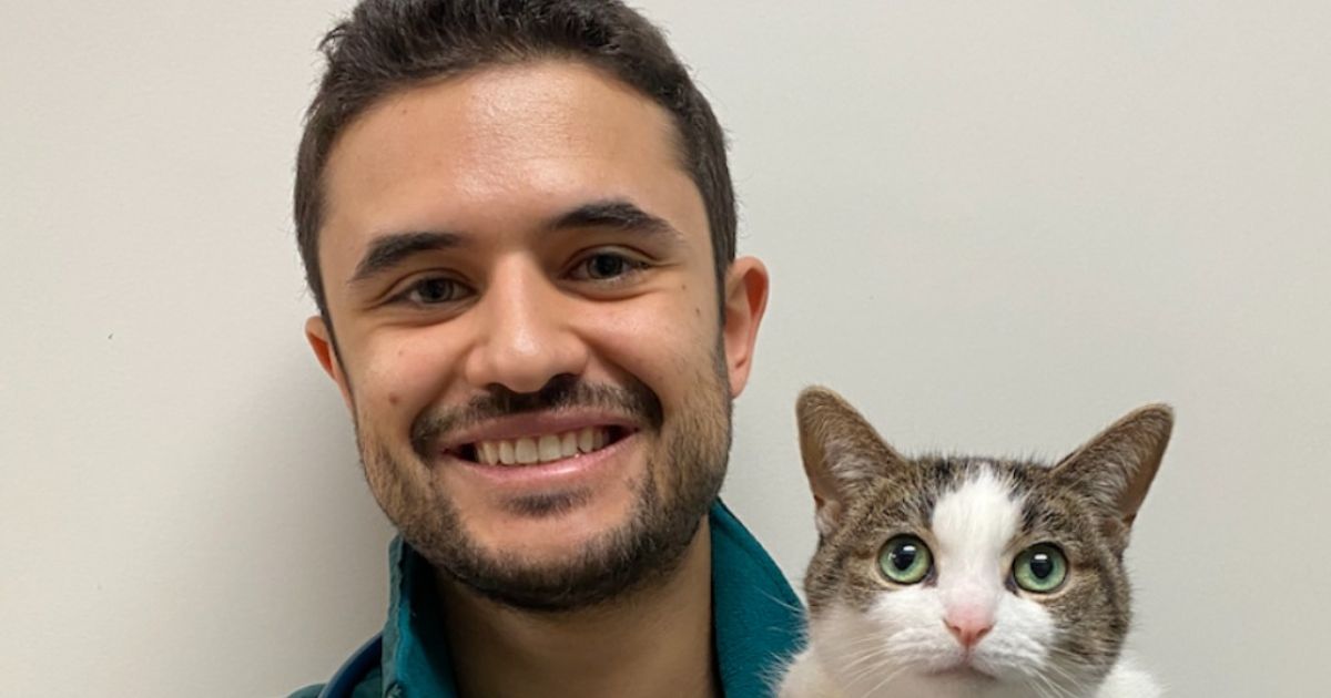 Dr. Jordan Gliklich - Vet in Toronto, ON - Vetster