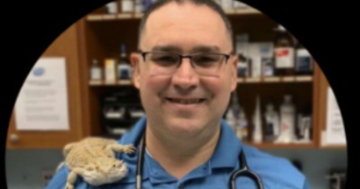 Dr. Ramon De Armas - Vet in Miami, FL - Vetster