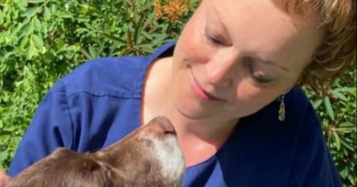 Dr. Amy Woodhouse - Vet in Gillingham, ENG - Vetster