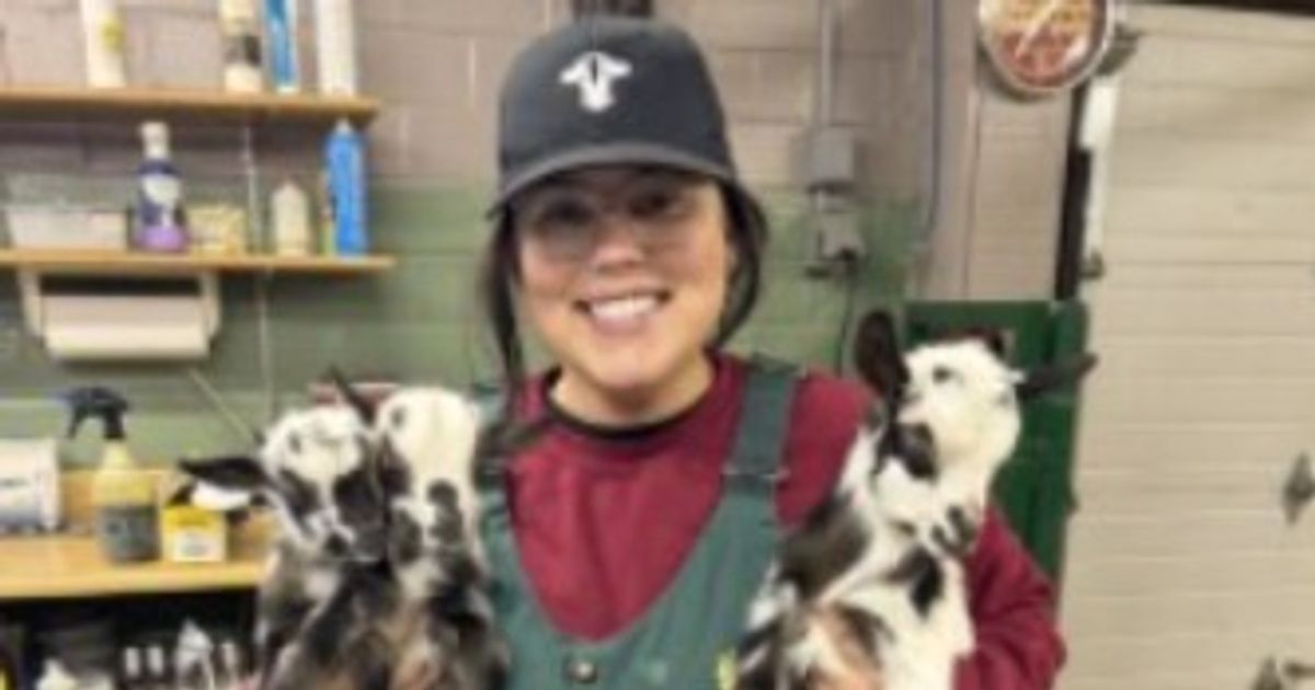 Dr. Allison Rapp - Vet in Cherokee, IA - Vetster