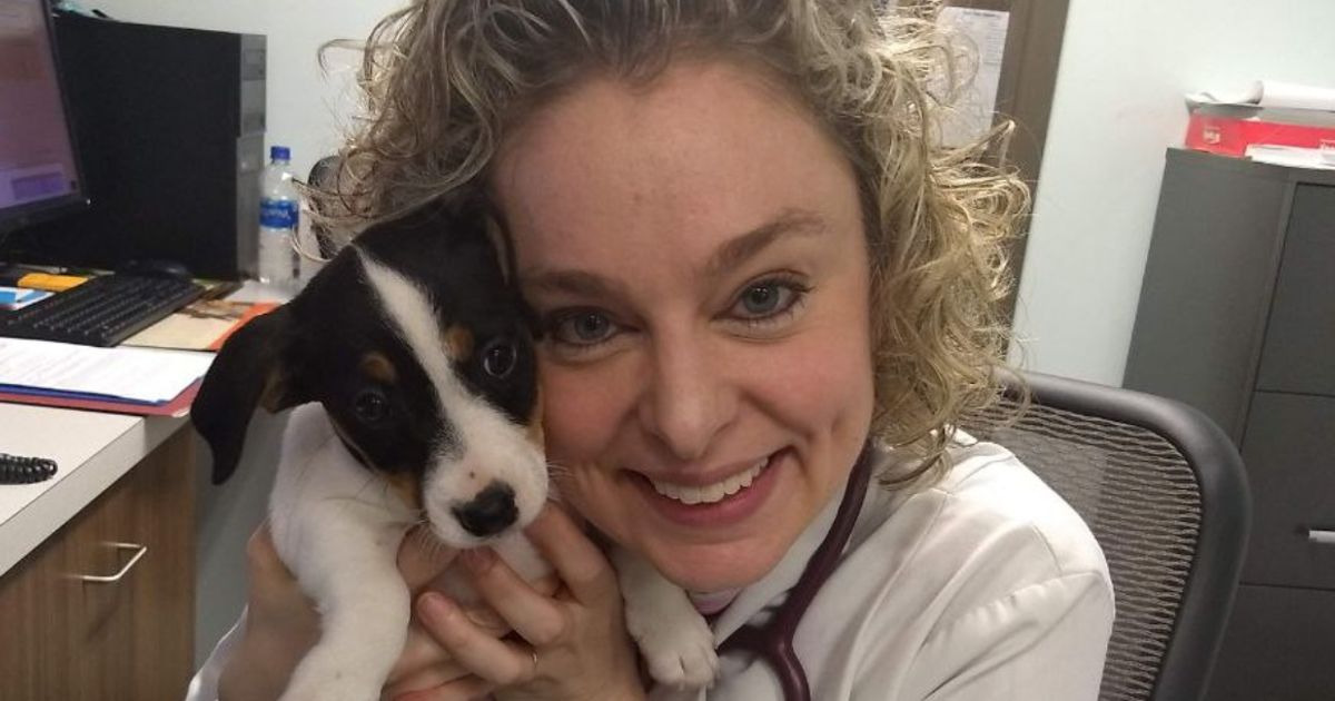 Dr. Lisa Voorhees - Vet in Southern Pines, NC - Vetster