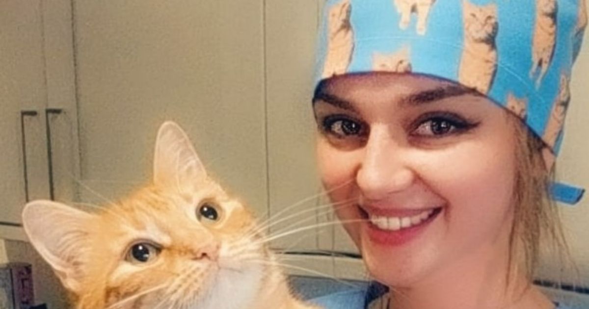 Dr. Hannah Petrie Hay - Vet in Guidepost, ENG - Vetster