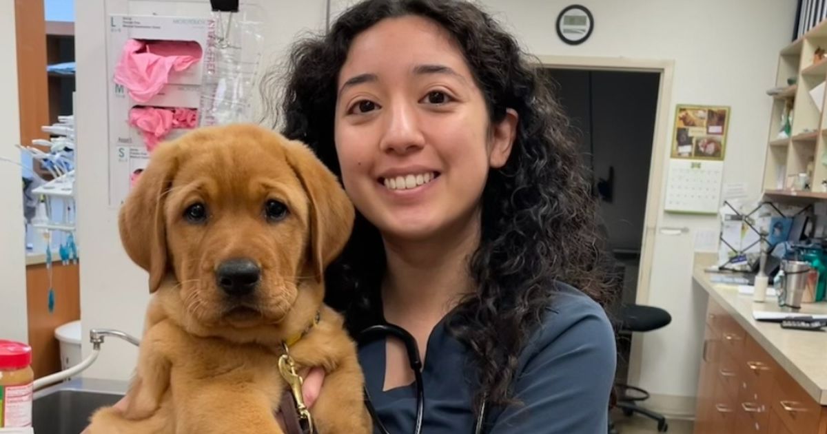 Lorena Luna - Tech in Leeds, AL - Vetster