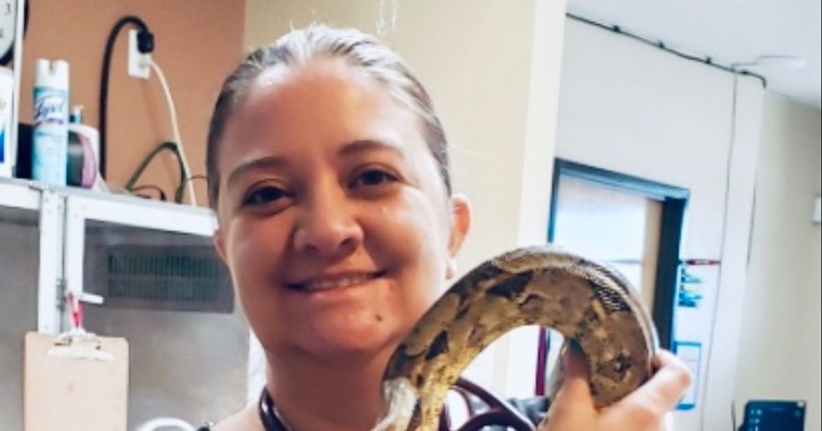 Dr. Tracy Young - Vet in Edgewood, NM - Vetster