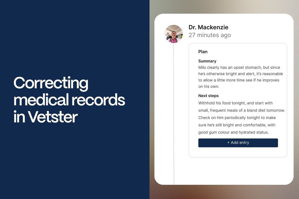 Correcting and updating medical records on Vetster - Vetster