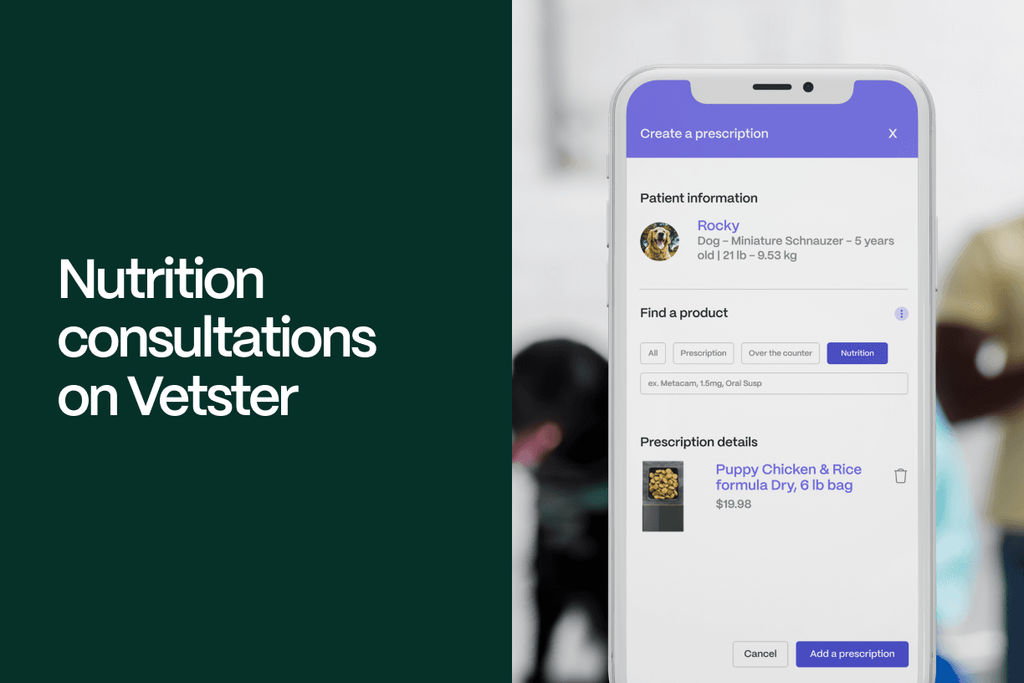 Nutrition consultations on Vetster - Vetster