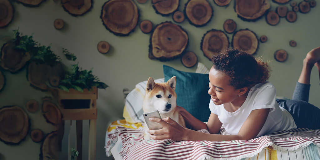 24/7 Online Vet Appointments - Ask a Vet - Vetster