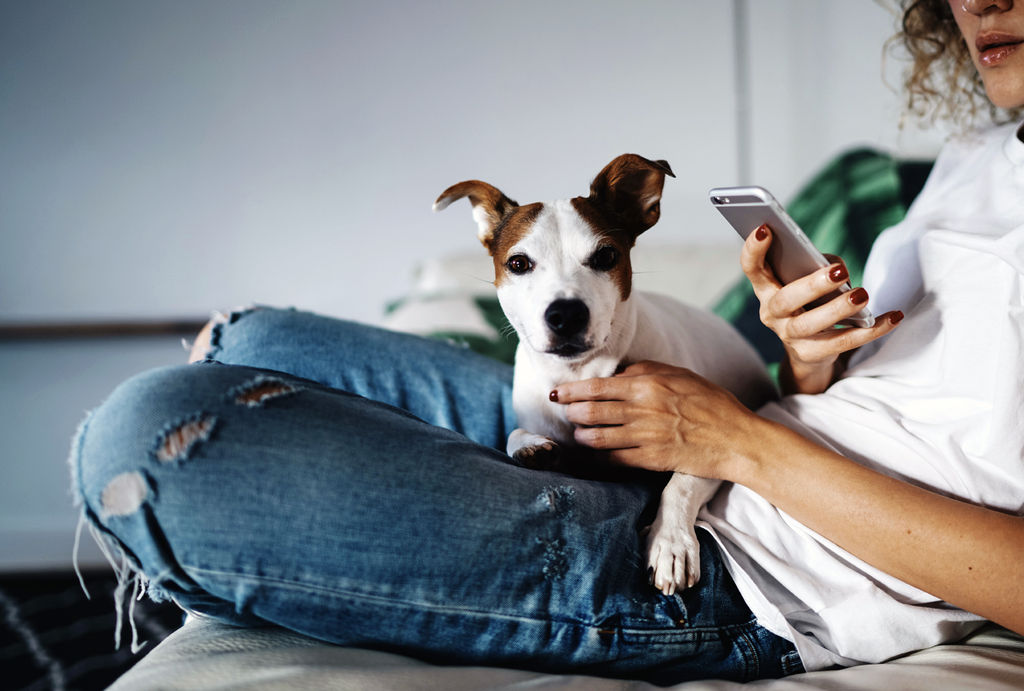 Grow your virtual veterinary care practice - Vetster