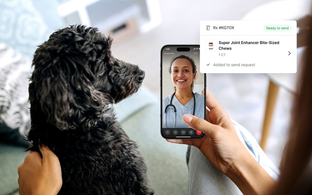 Online Vet Prescriptions - VetsterRx