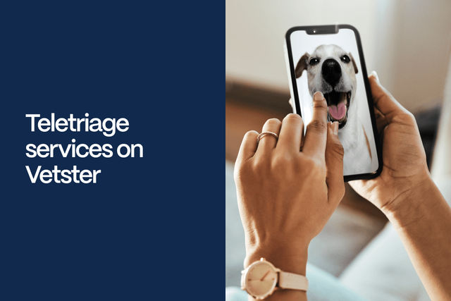 Teletriage Services on Vetster - Vetster