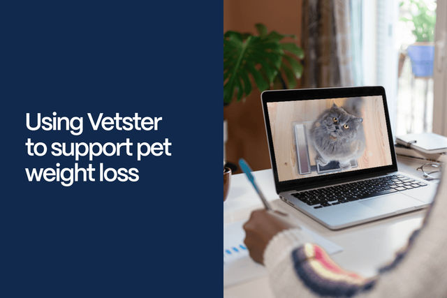 Using Vetster to support pet weight loss - Vetster
