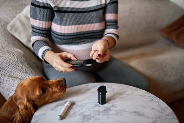 Using home testing kits to manage your pet’s health - Vetster