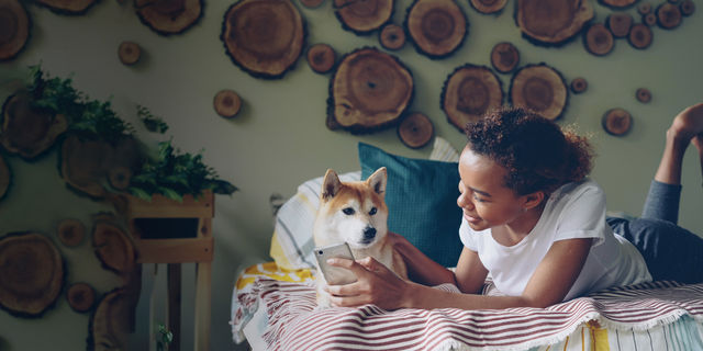 24/7 Online Vet Appointments - Ask a Vet - Vetster