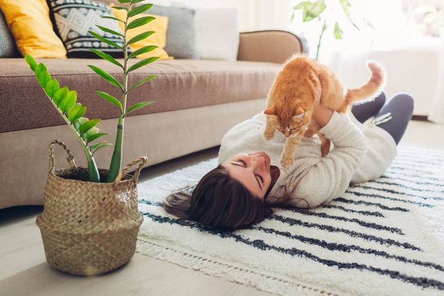 How to include your cat in your exercise routine - Vetster
