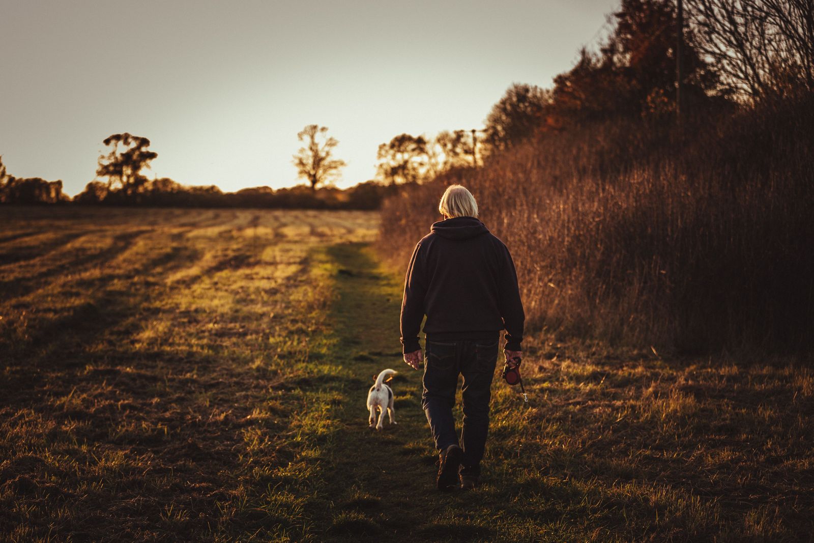 Legg Calve Perthes Disease In Dogs Causes Treatment And Associated
